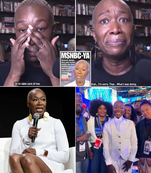 Joy Reid lost her temper and broke her silence after being mercilessly ...