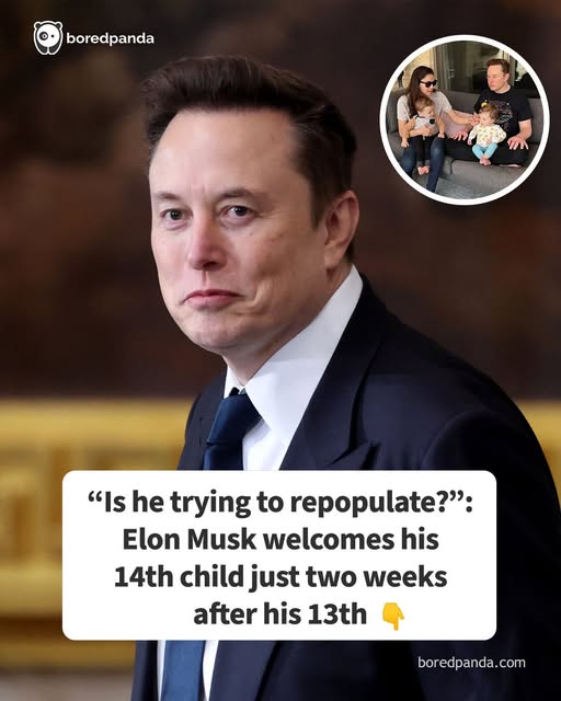 “Is He Trying to Repopulate?”: Elon Musk Welcomes His 14th Child Just ...