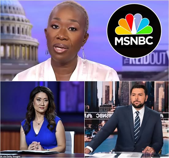 “MSNBC Shocks: After Joy Reid’s Firing, Three Veteran Stars Suffer the Same Fate – What’s the ...