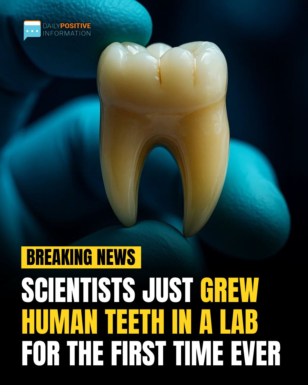 Scientists Grow First Fully Formed Tooth In Lab — A Groundbreaking ...