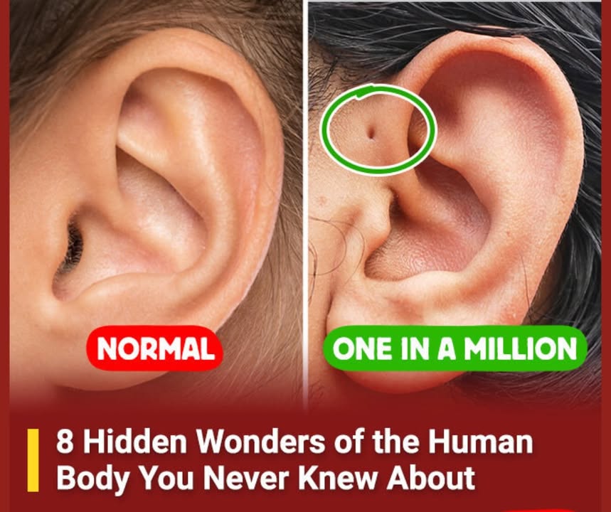 8 Fascinating Secrets of the Human Body You Never Knew - Amazing