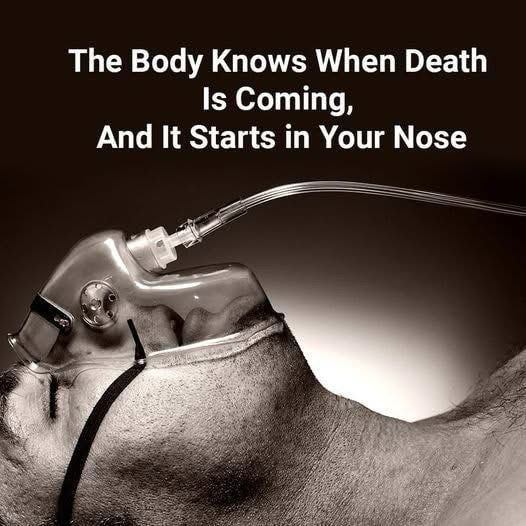 The Body Knows When Death Is Coming, And It Starts in Your Nose - Amazing