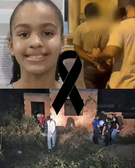 The Disappearance of Sofia: A Tragic Journey and a Reunion in the ...