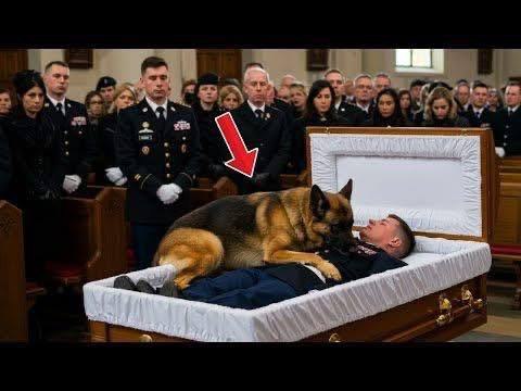 K9 Police Dogs Funeral Processions. Thank You for Your Service. - Amazing