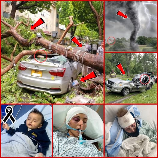 A massive storm has claimed one life, left hundreds homeless and left ...